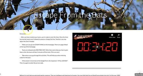 Bats Digital Escape Room - 360 View - Bats Science Activities | TPT