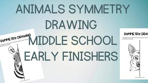 Animals Symmetry Drawing Middle School Early Finishers by Jackie ...