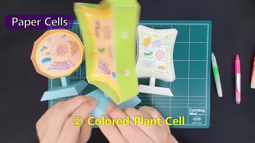 DIY 3D Paper Animal Cell Model, Paper Plant Cell Model, Coloring, Fill ...