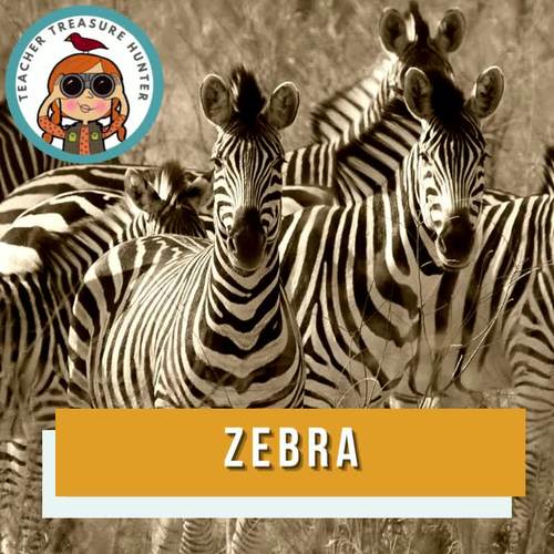 African Animals Report All About Zebras informational research page ...