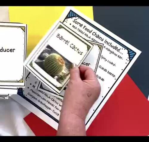 Desert Food Chains Matching Game Cards | Producers, Consumers, Plants ...
