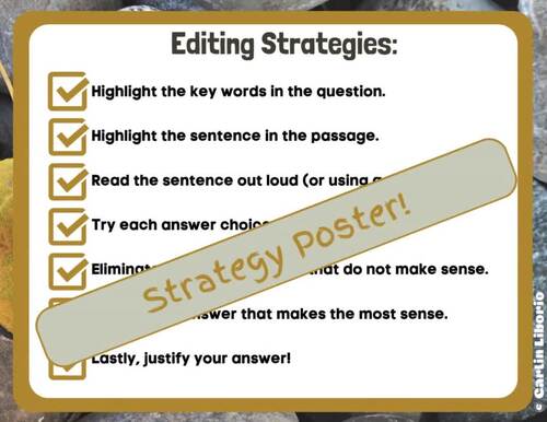 4th Grade EDITING Set #5 STAAR Practice- passages integrated with ...