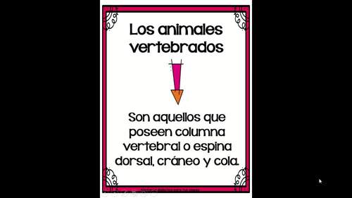 Vertebrados e Invertebrados | PowerPoint | Spanish resources | TPT