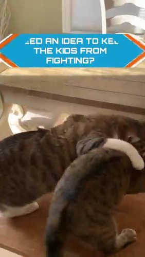 Lemon or Lime Rhyme Time Game by Expert Reading Tips | TpT