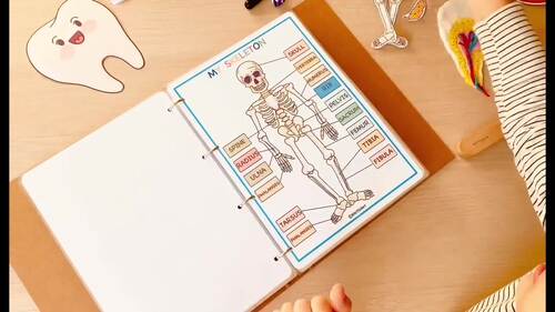 Spanish Human Anatomy Busy Book Toddler Printable Worksheets Body Parts ...