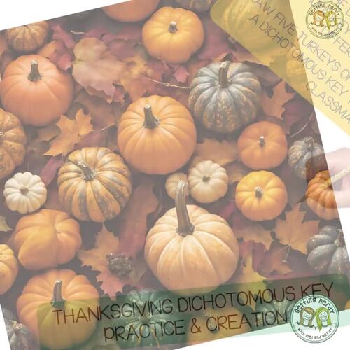 Classification & Taxonomy - Fall Thanksgiving Turkey Dichotomous Key ...