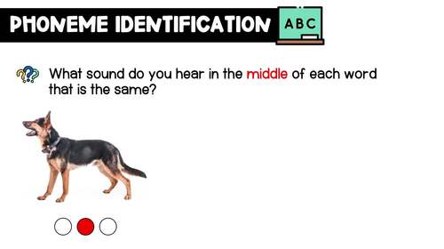 Science of Reading - Orton-Gillingham - Phonics Lesson: Short A and D
