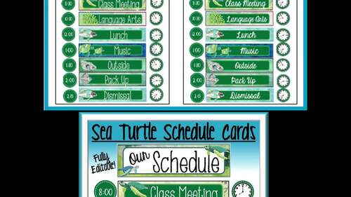 Daily Schedule Cards - Editable Visual Class Cards - Sea Turtle and Ocean