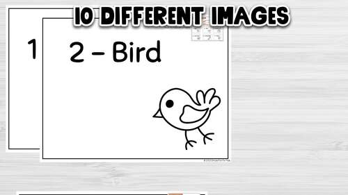 Editable Spring Directed Drawings: Differentiated Draw and Write Worksheets