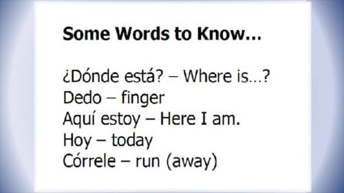 Spanish ¡Alive! Musical Mini-lessons – ¿Dónde está Dedo? by Lonnie Dai Zovi