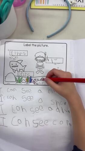 Label and Write Segmenting Writing and Labelling pictures Mapping CVC Words