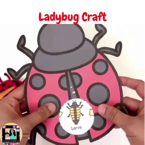 Ladybug Lifecycle Craft | Spring Life Cycle of a Ladybug Activities