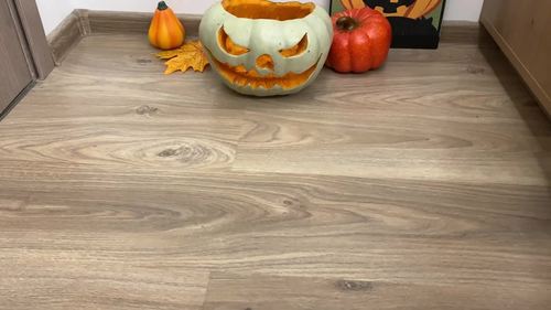 BEGINNER Sphero® in a Jack o lantern Autumn themed coding activity ...
