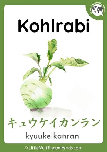 Japanese Resources - Vegetables Posters Flashcards Pack in Japanese and ...