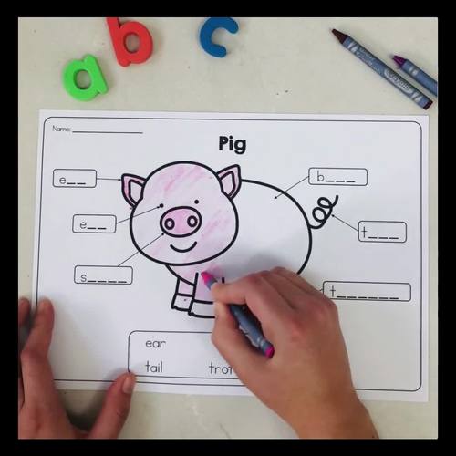 All About Pigs | Farm Animal Writing | Label a Pig | Information Report