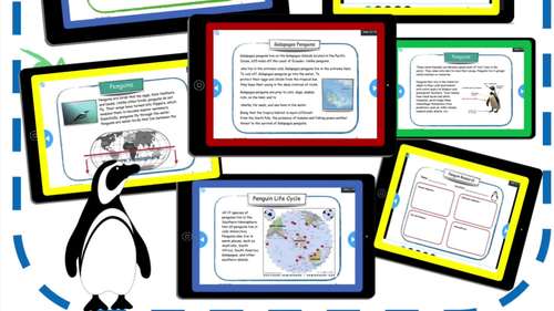 Penguin Life Cycle & Animal Adaptations Informational Text NGSS 3-LS1-1