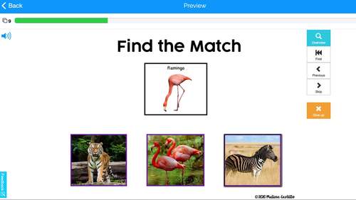 Animal Non Identical Matching Set | Boom Cards by ABA Learning Corner