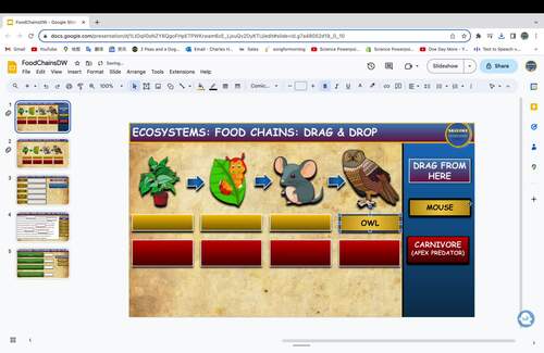 Food Chains: Ecosystems. Drag & Drop Worksheet: Google Slides + Powerpoint