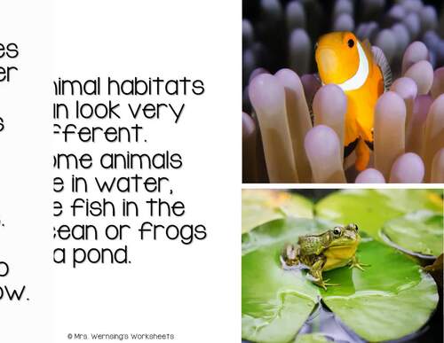 Animal Habitats - Projectable Read-Aloud Lesson - KINDERGARTEN SCIENCE