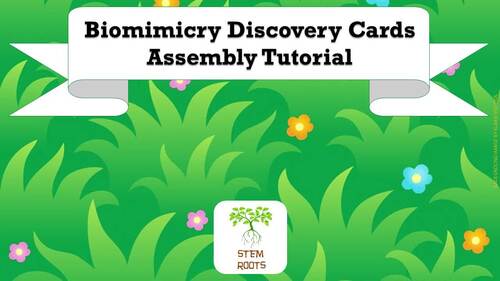 Mushrooms & Power Plant Condensers | Biomimicry Discovery Card | STEM ...