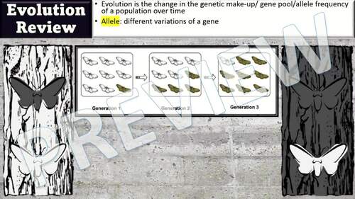 Mechanisms Of Evolution Complete Lesson Resource BUNDLE (PPT, Notes, Labs)