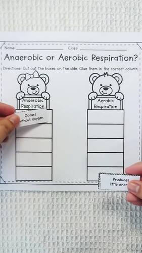 Anaerobic or Aerobic Respiration? Cut and Paste Sorting Activity