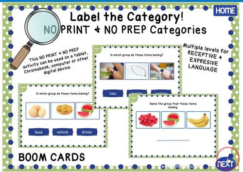 NO PREP Wh questions by Categories Expressive and Receptive Language ...