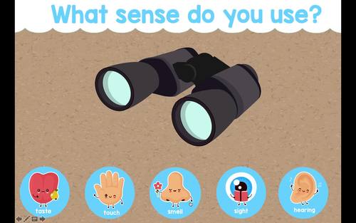 ZOOM Class game: Five Senses Interactive Powerpoint for Distance Learning