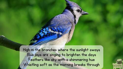 Music: Blue Jay's Lullaby Song Classroom Songs with Lyrics for Sing-along