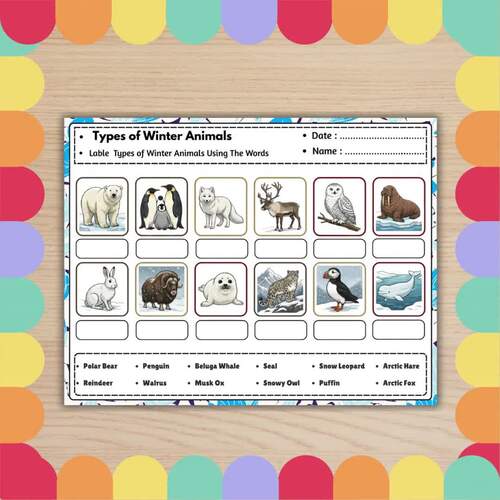 Types of Winter Animals Worksheets | Arctic & Cold Climate Animals ...