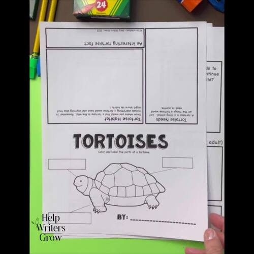 Writing About Animals - Turtles and Tortoises by Help Writers Grow