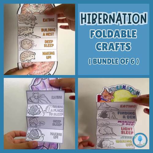 Hibernation & Brumation Craft Bundle – Fun, Interactive Winter Science ...