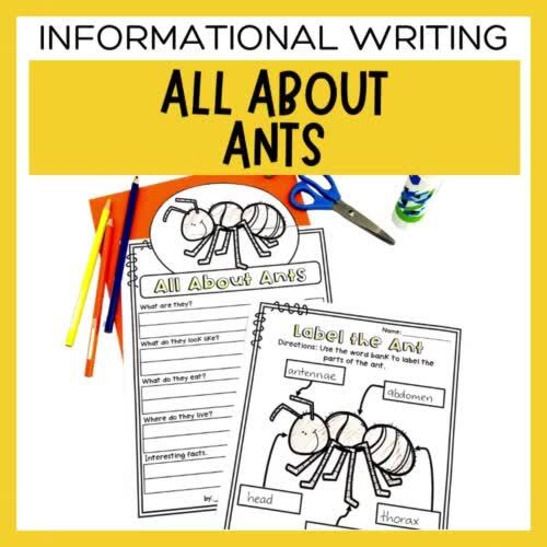 All About Ants | Insect Research Worksheets | Nonfiction Writing Activities