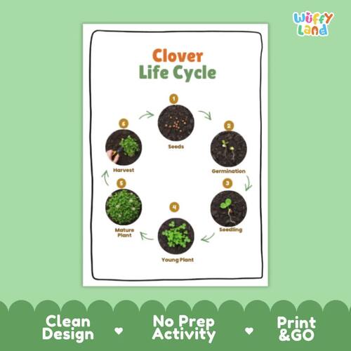 Clover Life Cycle Sequencing Craft & Poster | Spring Science Plant Activity