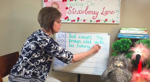 VIDEO: Reading: Set 1. Lesson 52. Word Family Pattern -od | TPT