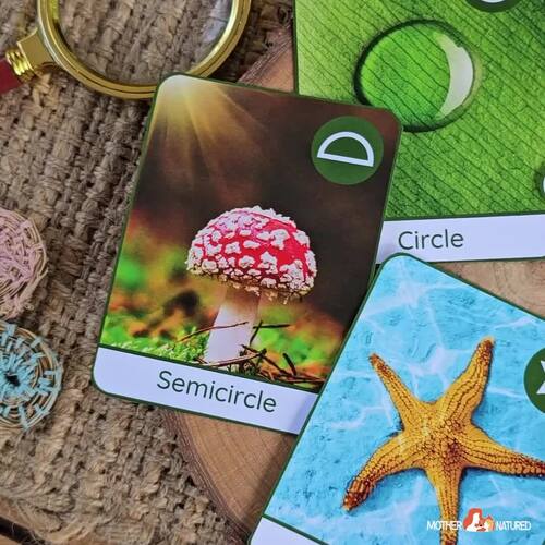 Nature Shapes Poster and Cards | Nature Shapes Preschool | Nature Shapes