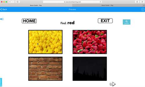 Boom Cards™ Distance Learning: Expressive & Receptive Task Cards (real ...