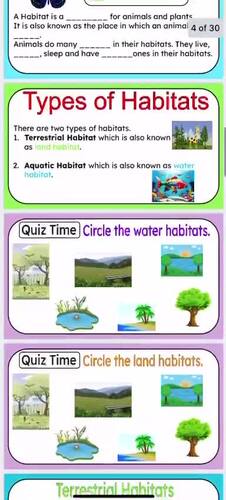 Animals & Their Habitats PowerPoint Lesson-Terrestrial & Aquatic Habitats