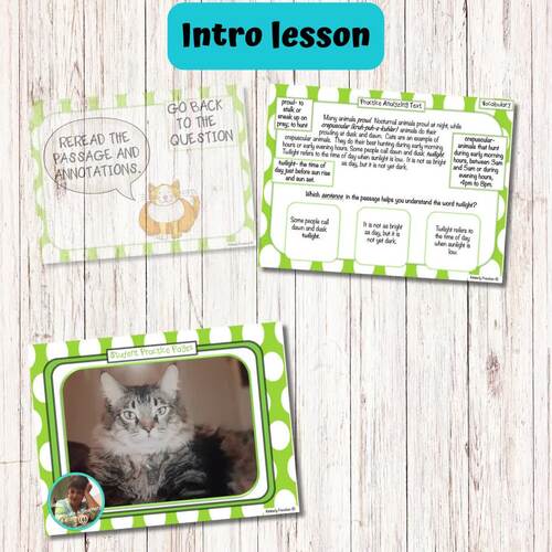 End-of-Year Informational Text Review – Reading Comprehension Practice