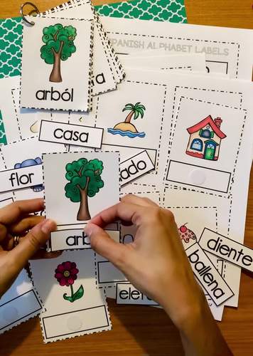 Spanish Alphabet Learning Activities - ¡El Alfabeto! Spanish Lesson
