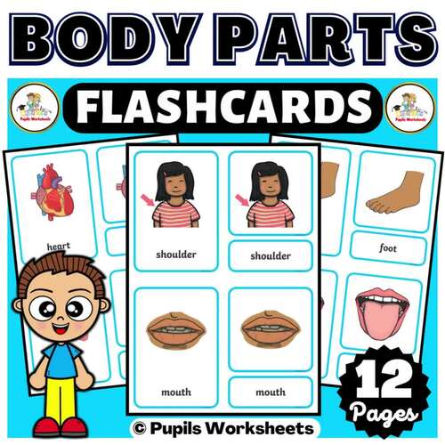 HUMAN BODY PARTS Flashcards I Printable Preschool Health Body Parts ...