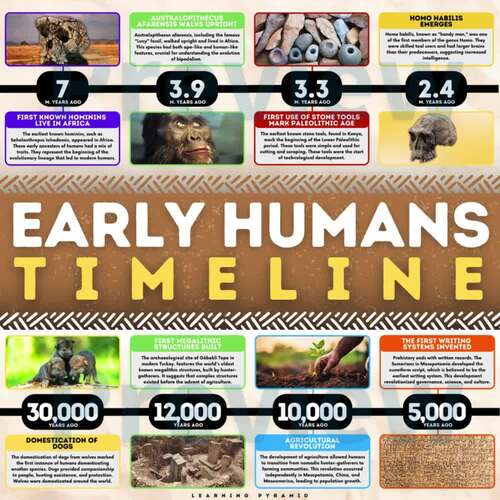 Early Humans Prehistory Timeline Classroom Posters Decor Stone Age Activity