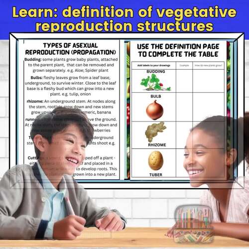 Plant / asexual reproduction: vegetable garden lab & worksheets 5th grade