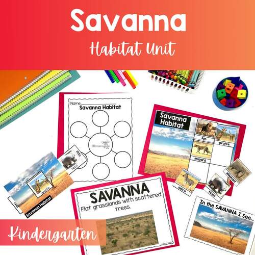 Savanna/Grassland: Animal Habitats Kindergarten & First Grade, Diorama ...