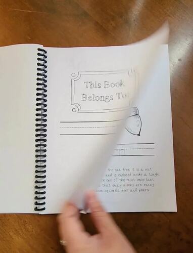 My Nature Alphabet Book- Nature Inspired Alphabet Pages by PaperAmelia