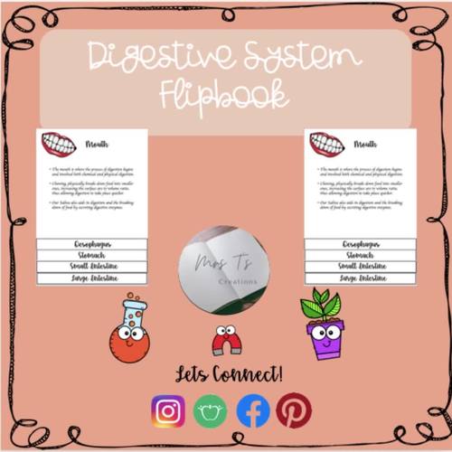 Digestive System Interactive FlipBook by MrsT's Creations | TpT