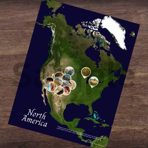 NATIVE AMERICAN Indians of North America | Activity BUNDLE Unit Study