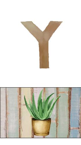 Plant-themed classroom decor by JD's Darlings | TPT