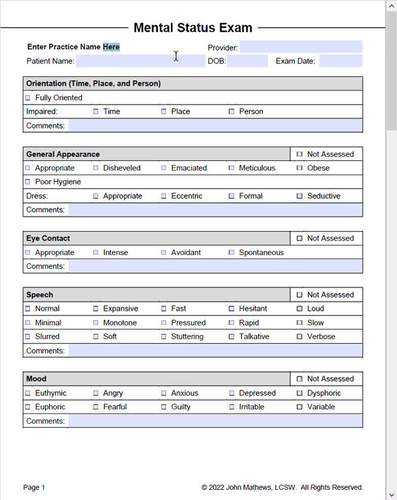 Mental Status Exam Template for Therapists, PDF - Fillable & Editable, Printable