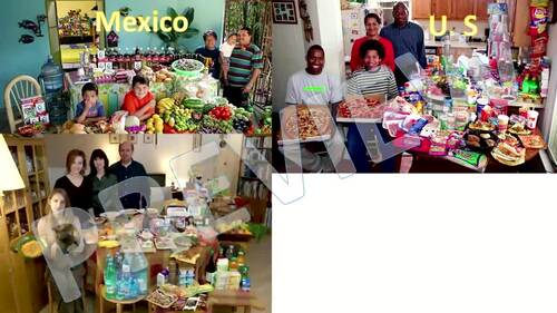 AP Environmental Science The Green Revolution 2-Day Lessons BUNDLE!